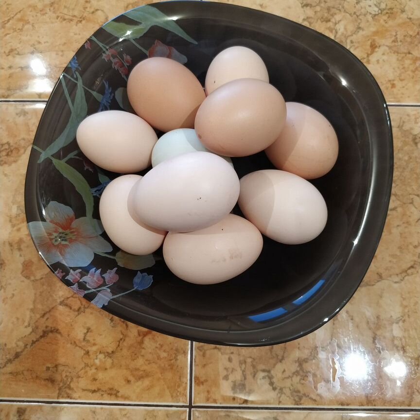 Яйца куриные домашние
