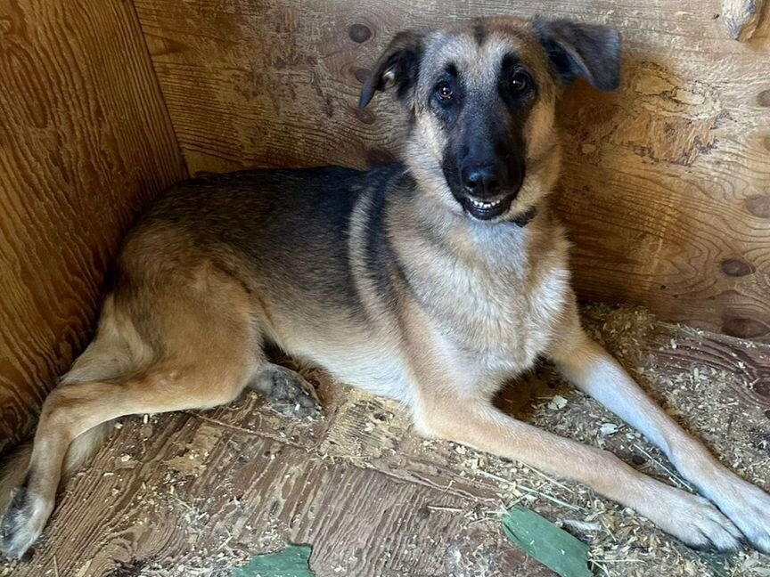 Скромный мальчишка из приют надеется найти хозяина