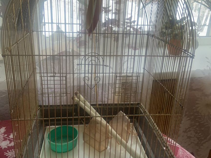 Клетка для волнистого попугая