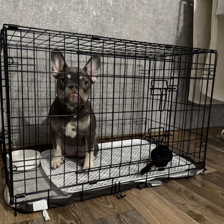 Клетка для животных