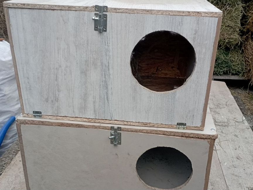 Маточник для кроликов