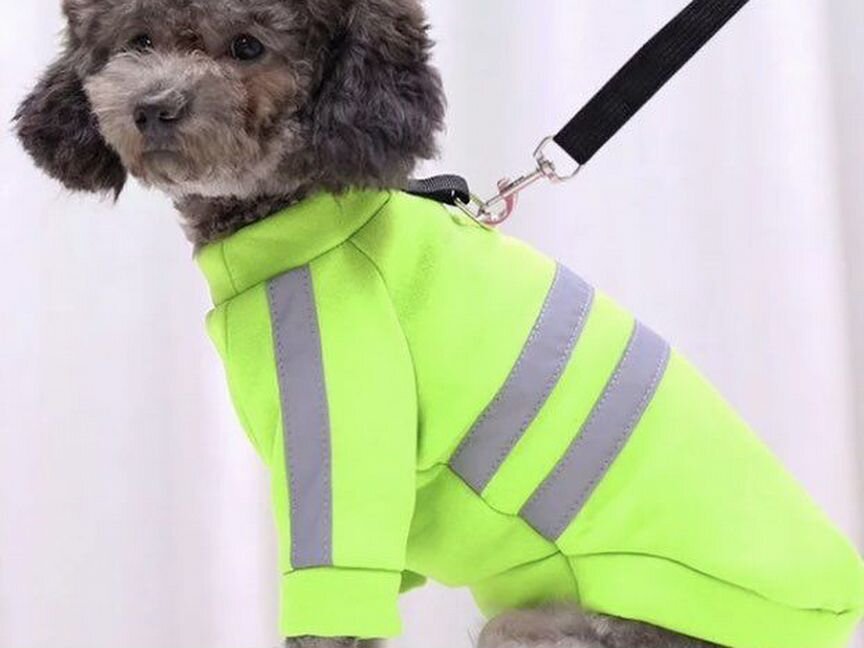 Одежда для собак маленьких пород. Новое