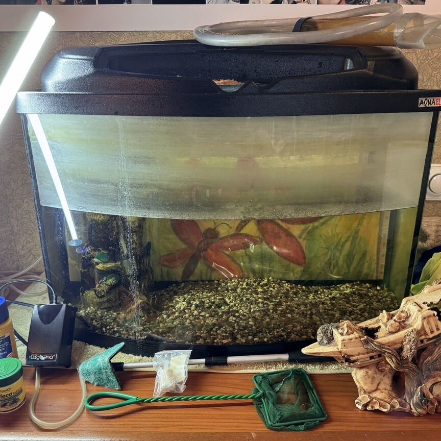 Аквариум на 60 литров