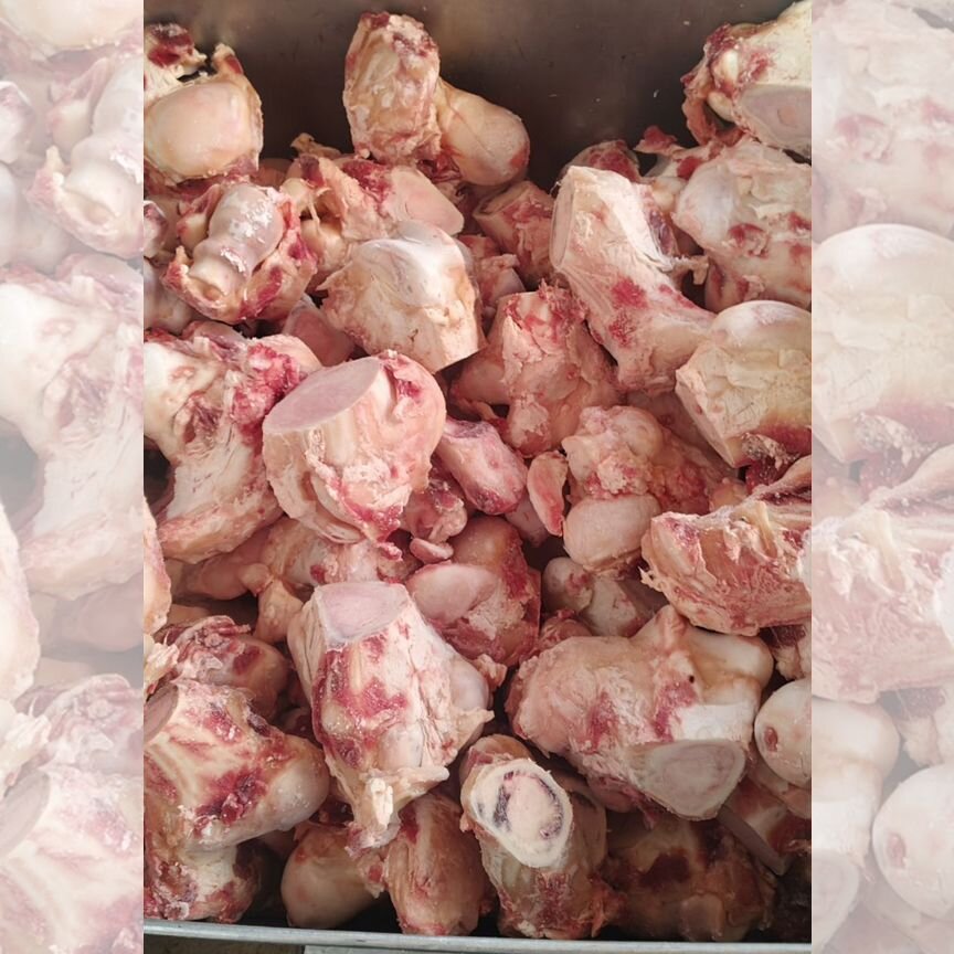 Кость говядина