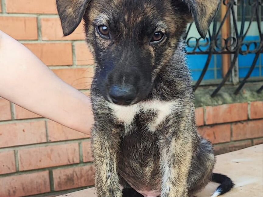 Жду мамочку