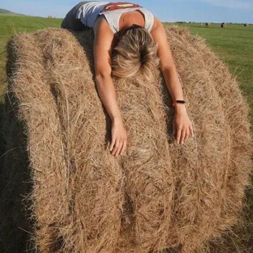 Сено разнотравье, урожай 2024. 180 пресс