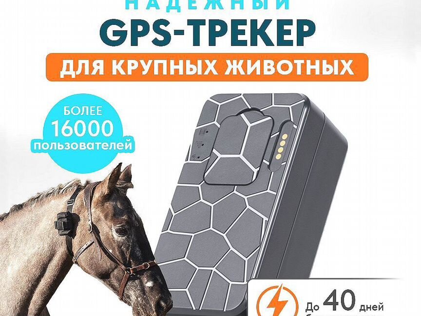 Gps tracker для лошадей