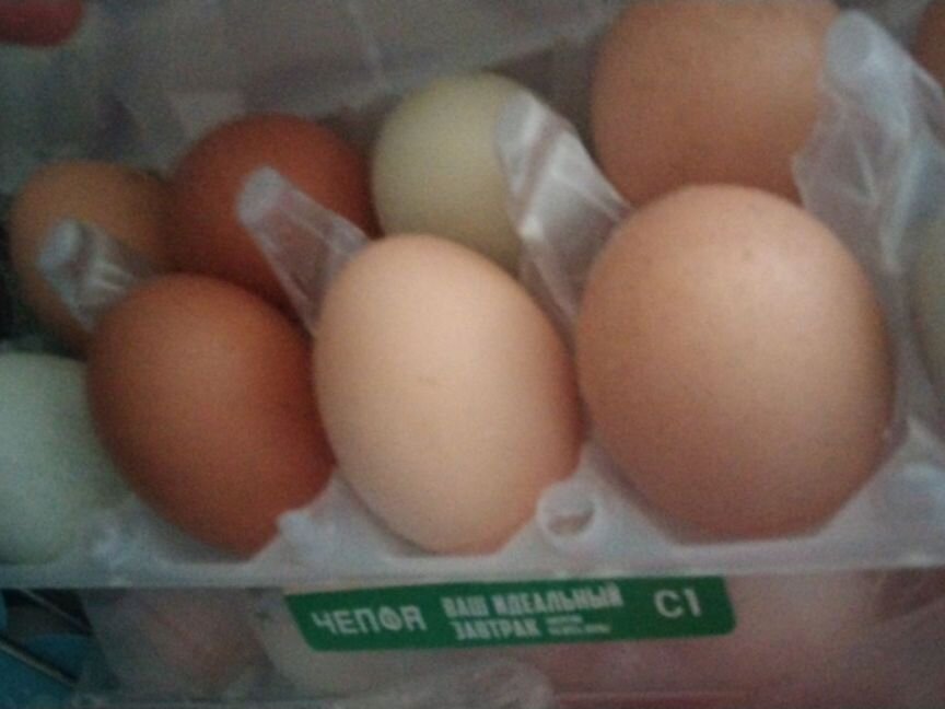 Яйца