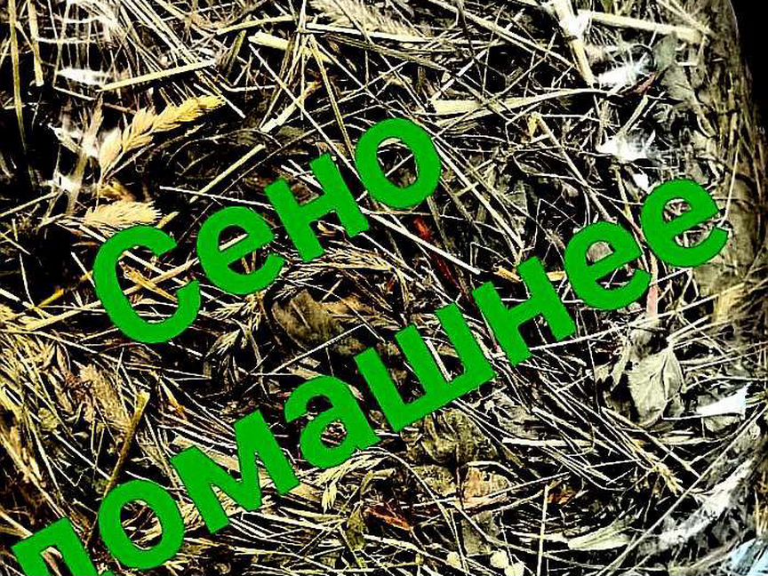 Товары для животных