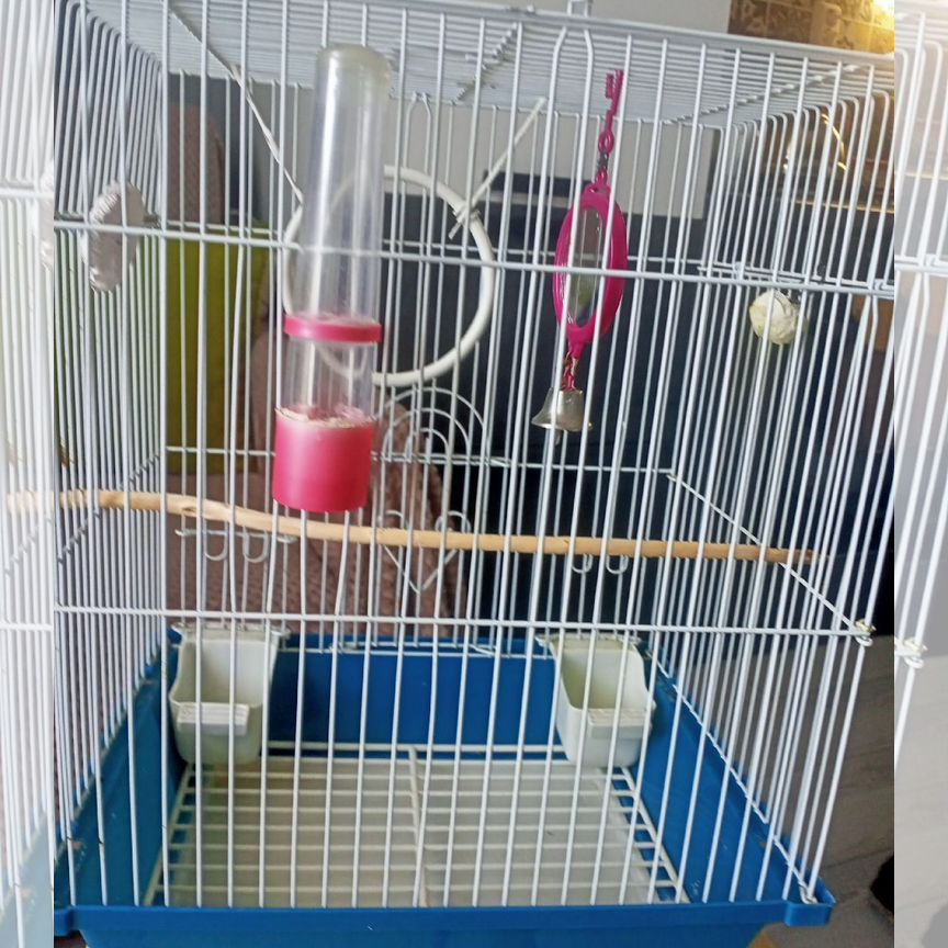 Клетка для попугая   пачка корма