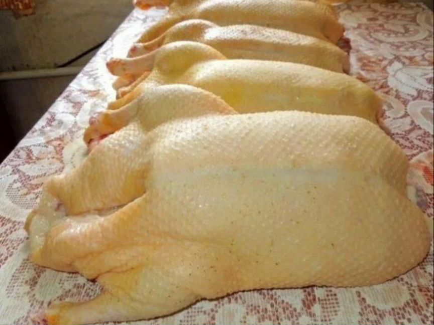 Продам мясо утки