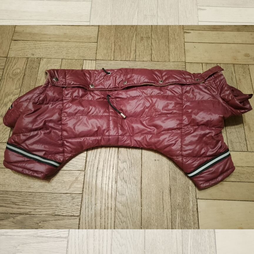 Собачий комбинезон