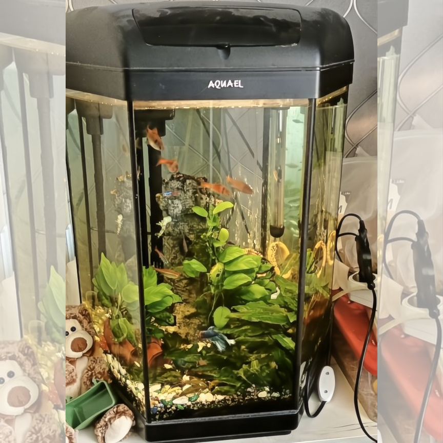 Аквариум 60л Aquaеl