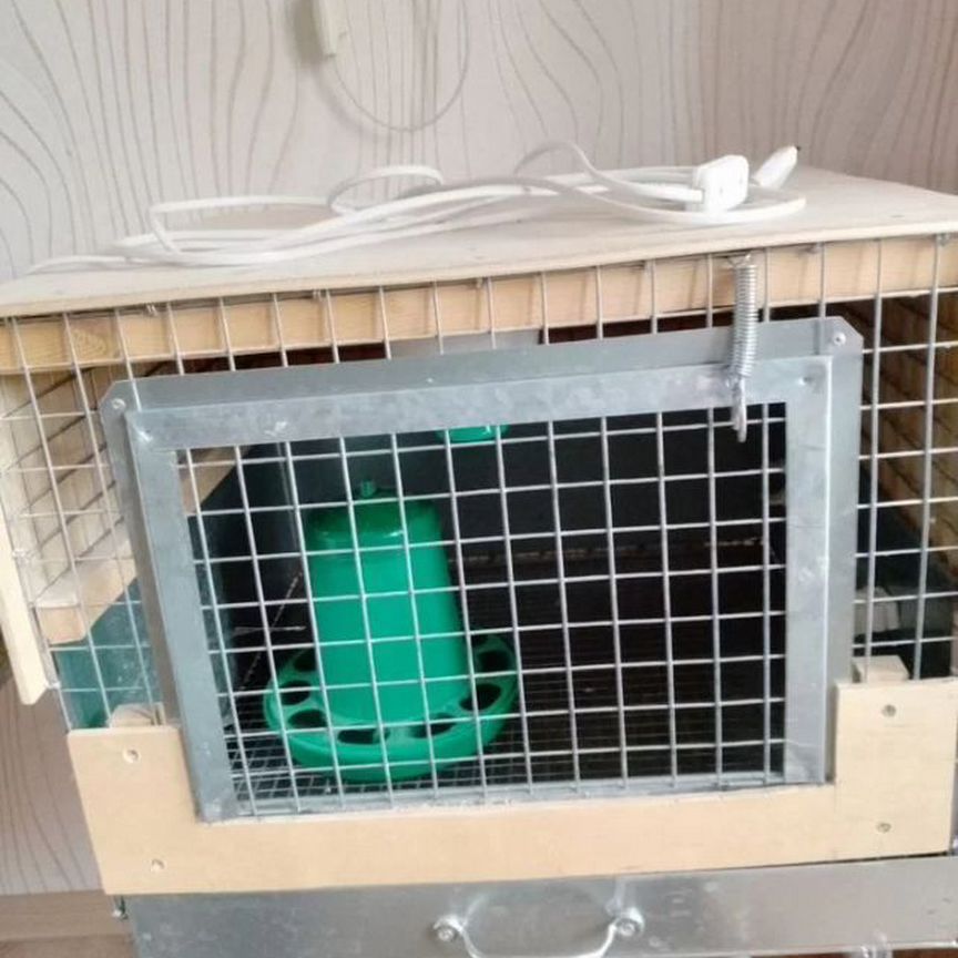 Брудер для цыплят бу