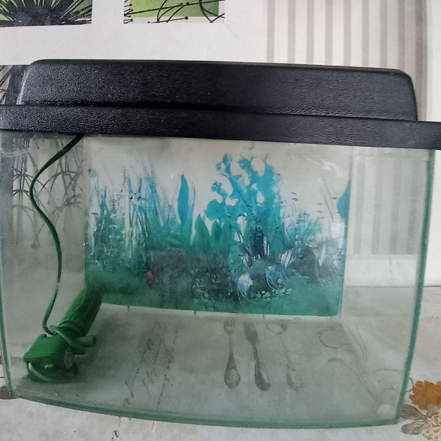 Аквариум с крышкой и фильтром