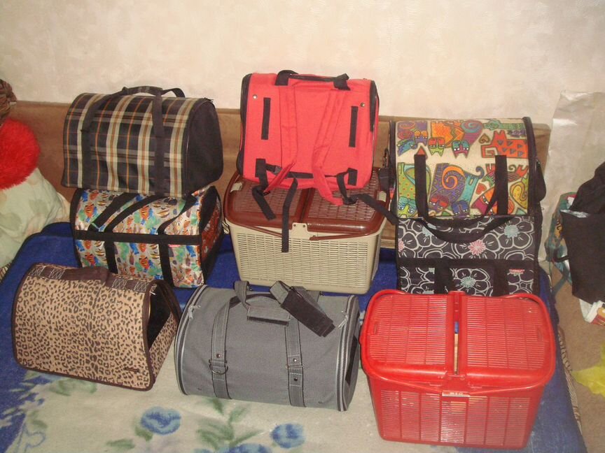 Переноска для животных. Поводок - рулетка Flexi