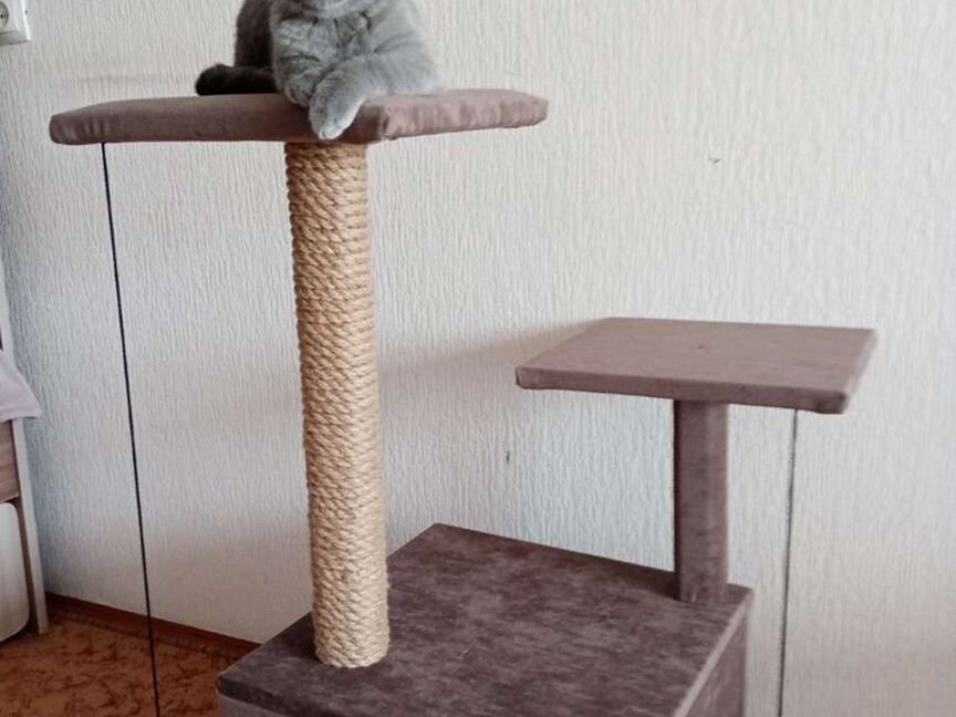 Домик для кошки с когтеточкой