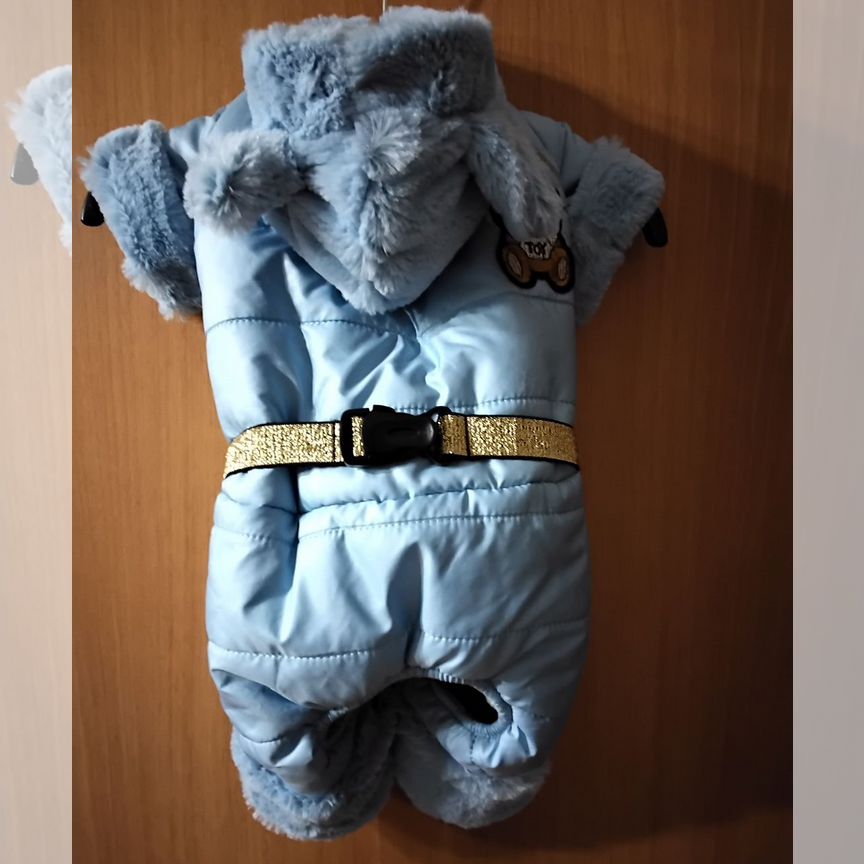 Одежда для собак мелких и средних пород