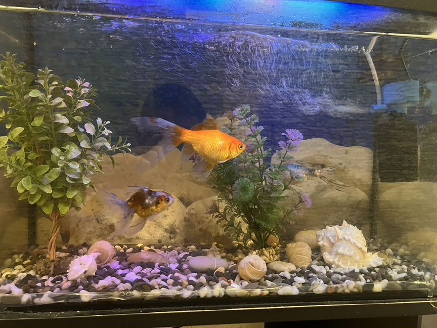 Украшение для аквариума