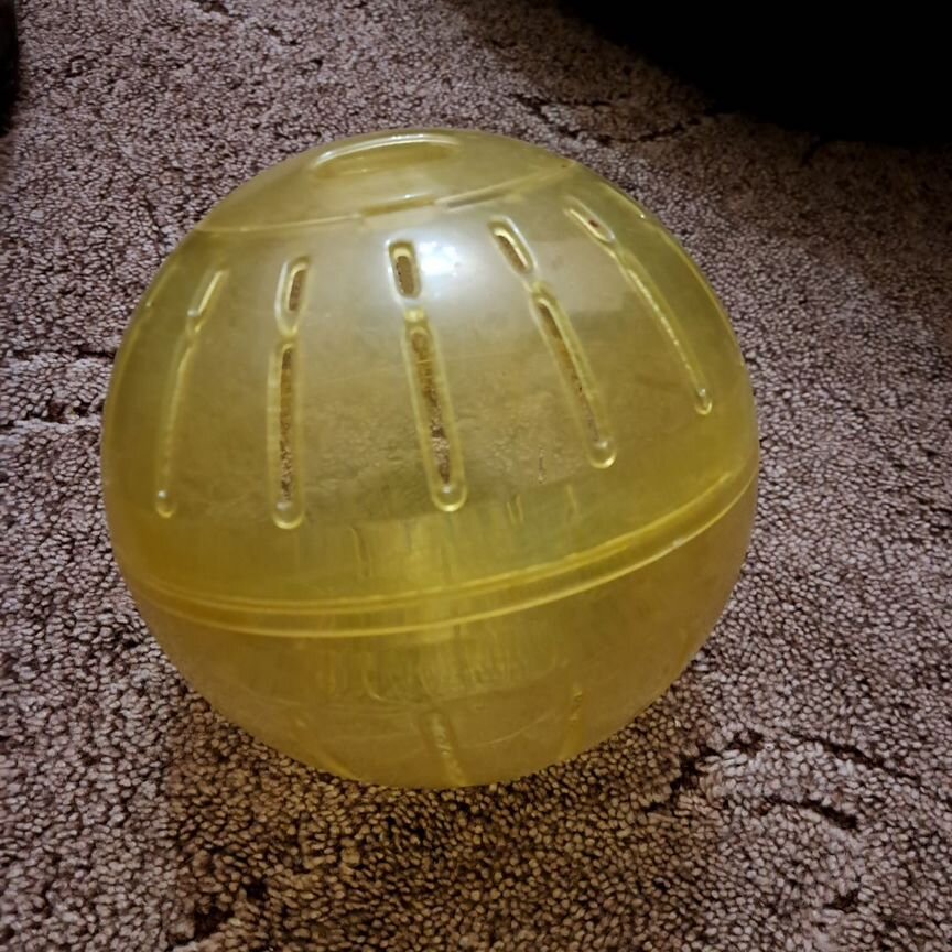 Шар для грызунов