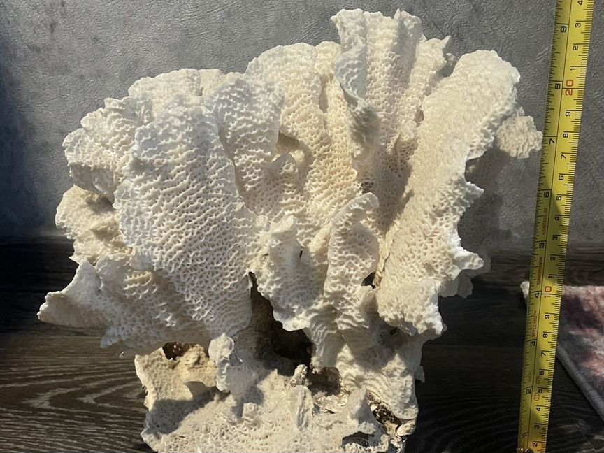 Морской коралл и элементы декора для аквариума