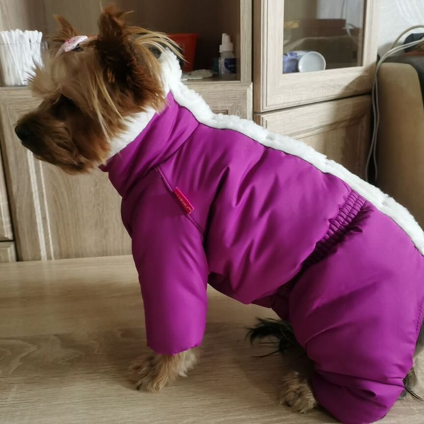 Одежда для собак мелких пород зима девочка