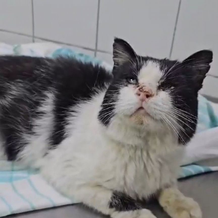 Ситуация критическая,надо спасти