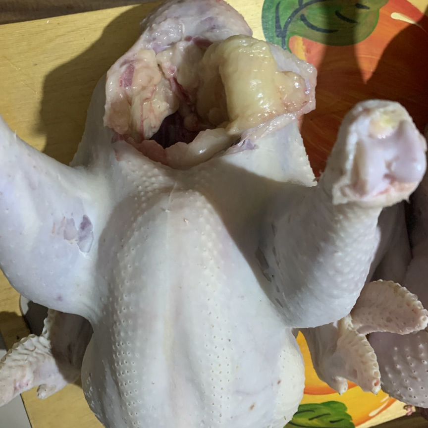 Индюшки,индюки,индейка