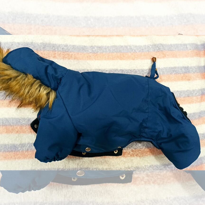 Одежда для собак