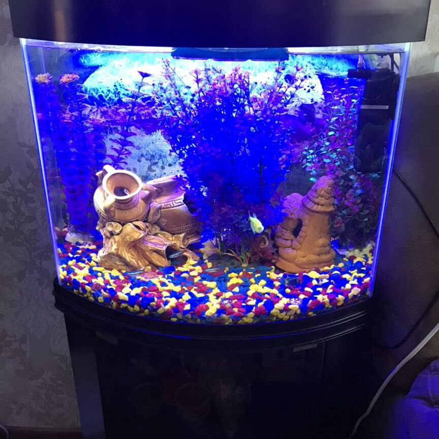 Аквариум полусфера