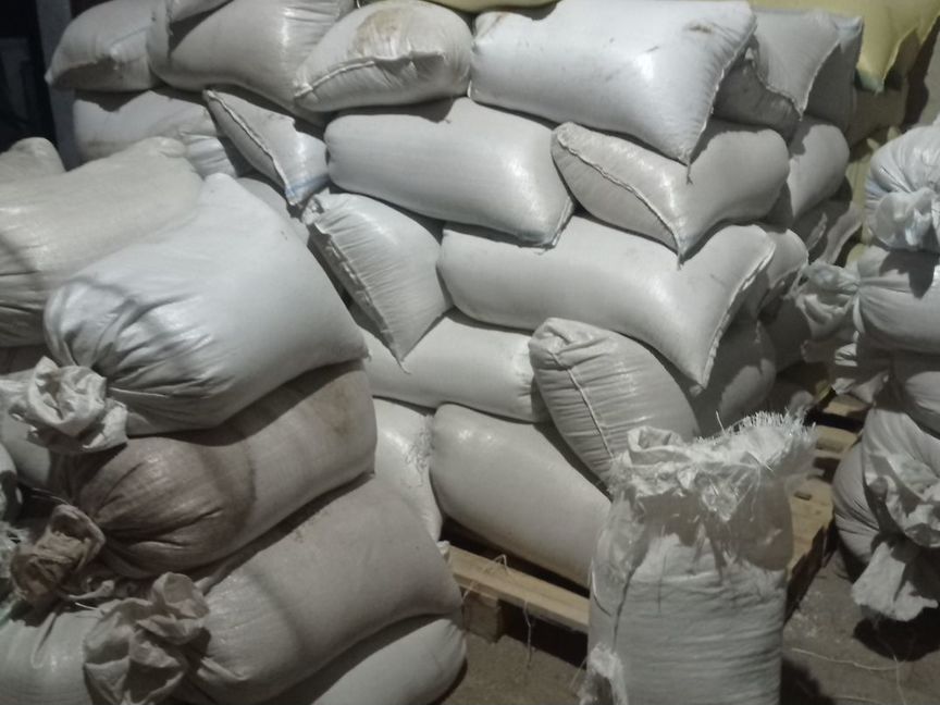 Яровой ячмень, ц.10р.семена