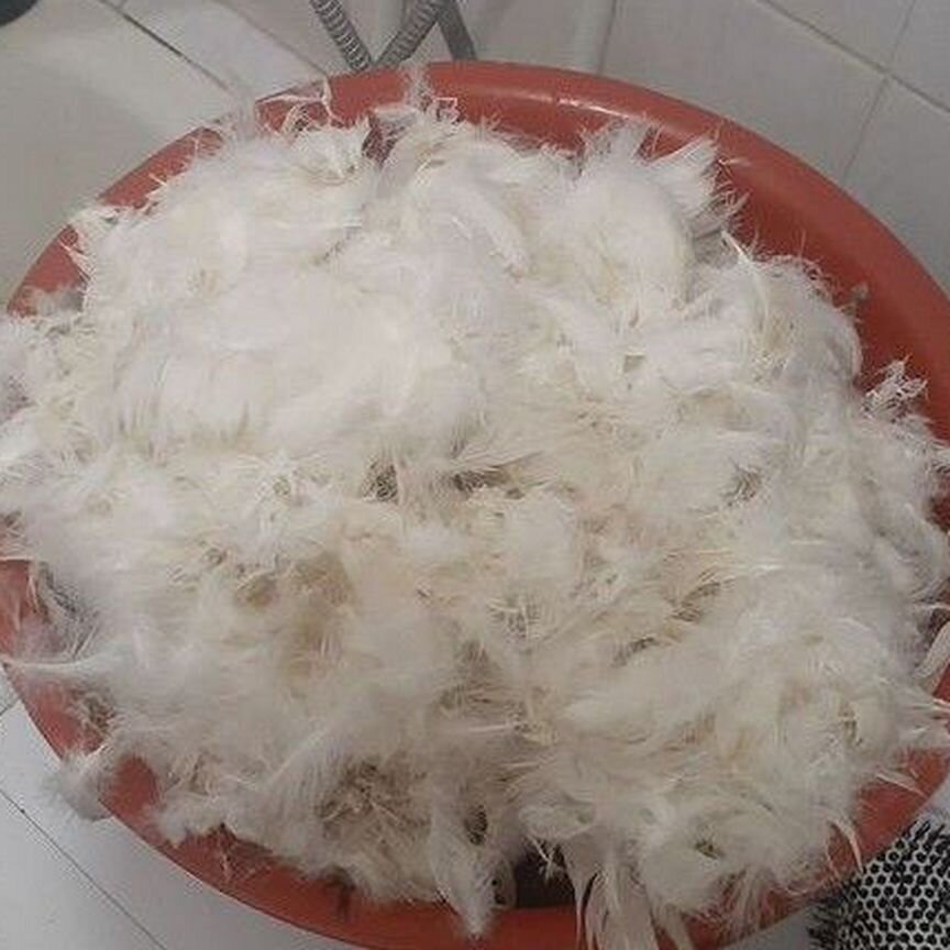 Перо и пух гусиное