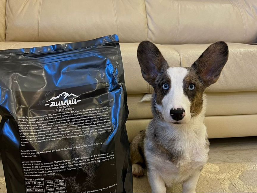 Сухой корм для щенков "дикий"