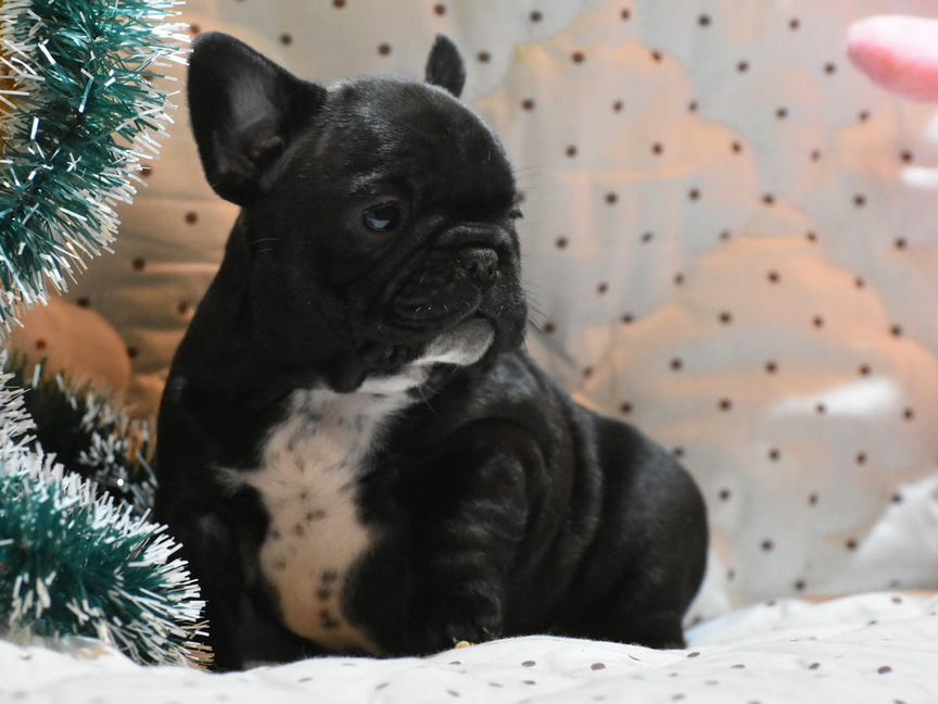 Классные парни