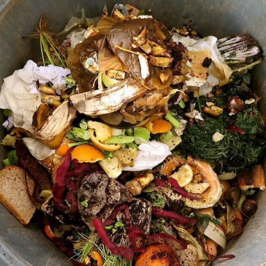 Пищевые отходы для животных