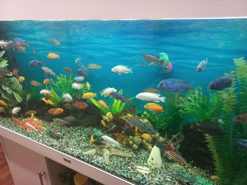 Аквариум с тумбой