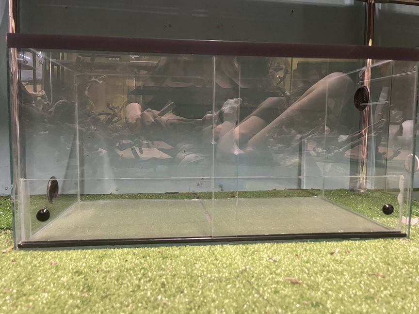 Террариум для змей 60 х 30 х30