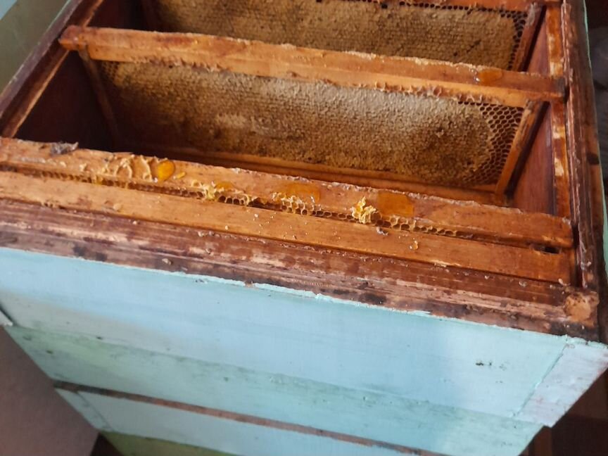 Рамки кормовые для пчёл