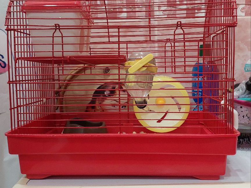 Клетка для грызунов бу
