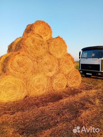 Продажа сена в рулонах, Доставка купить в Красном Яре | Животные и ...