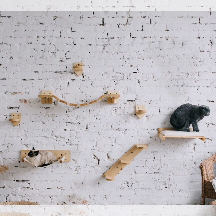Комплекс для кошек настенный