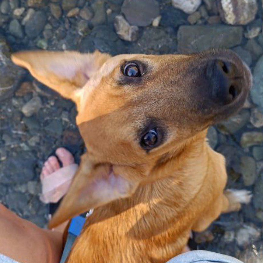 Малыш ищет маму