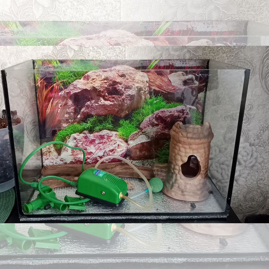 Аквариум