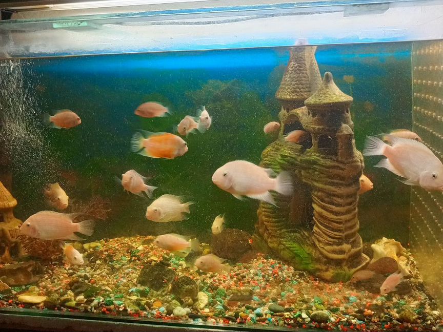 Украшение для аквариума