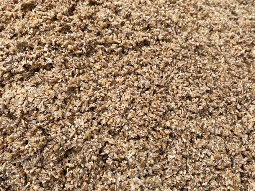 Вареный солод (дробина)