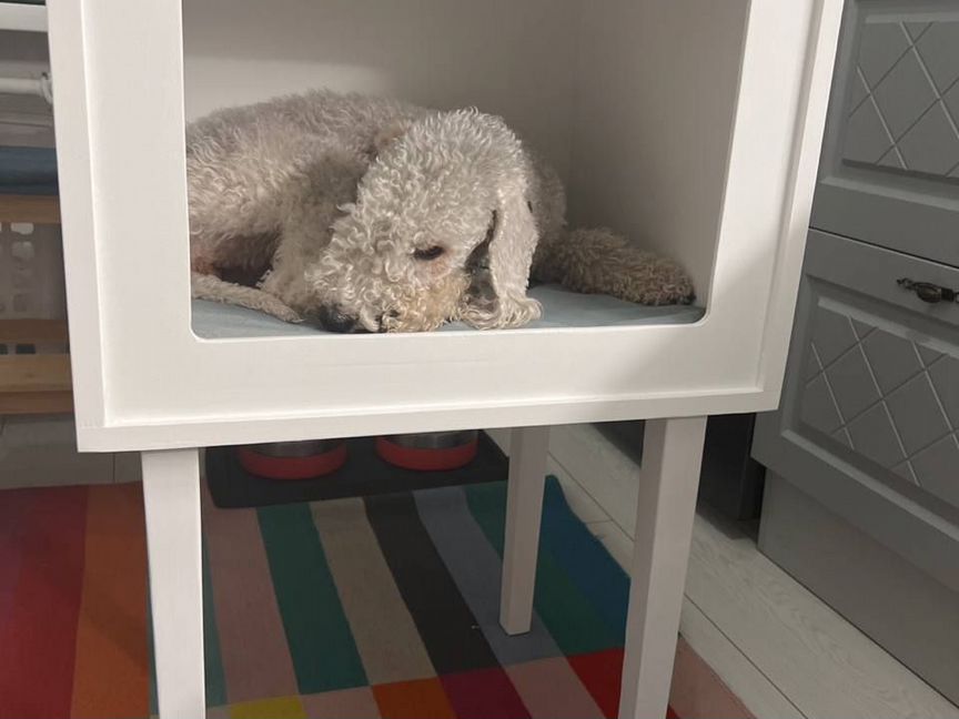 Домик для собаки/кошки