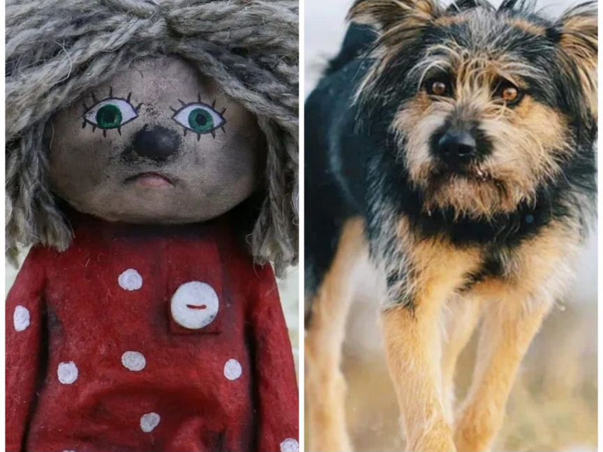 Домовёнок в приюте