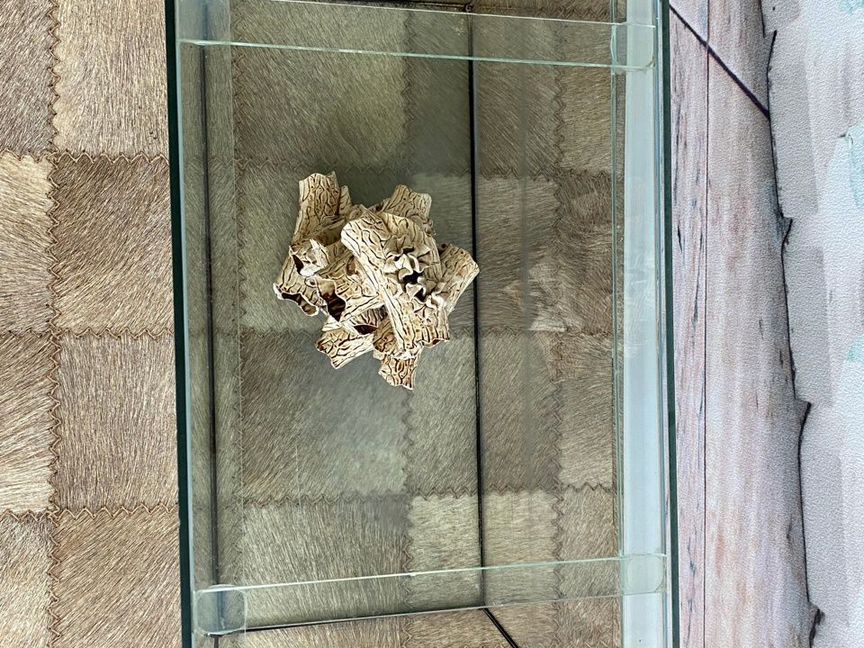 Продам аквариум