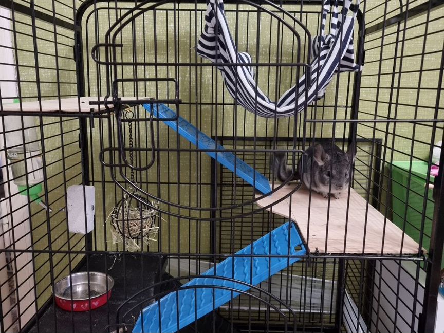 Клетка для шиншиллы