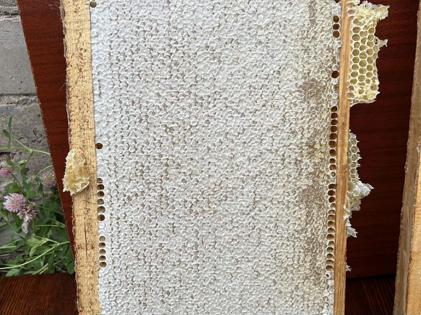 Рамки с вощиной